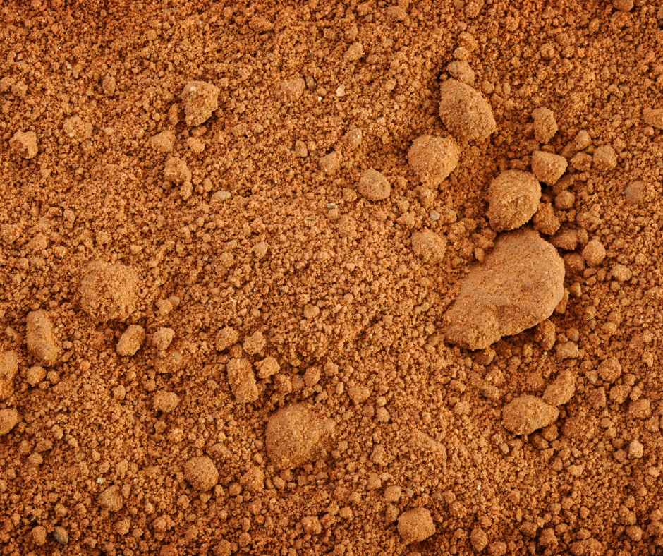 How Carolina Red Clay Impacts Your Sewer Line And What To Do